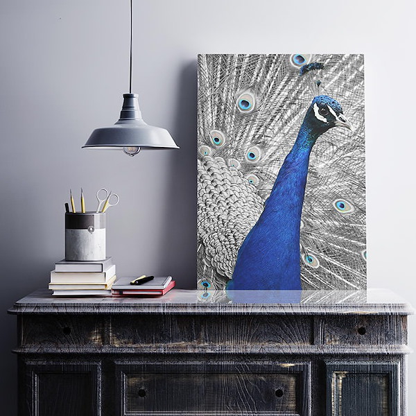 Browse All Products | MotoPhoto - Reading, PA: Create & order photo ...